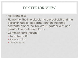 Posture analysis | PPTX