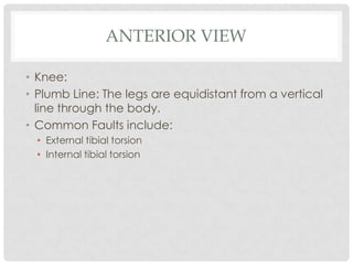 Posture analysis | PPTX