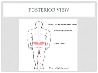 Posture Plumb Line Posterior