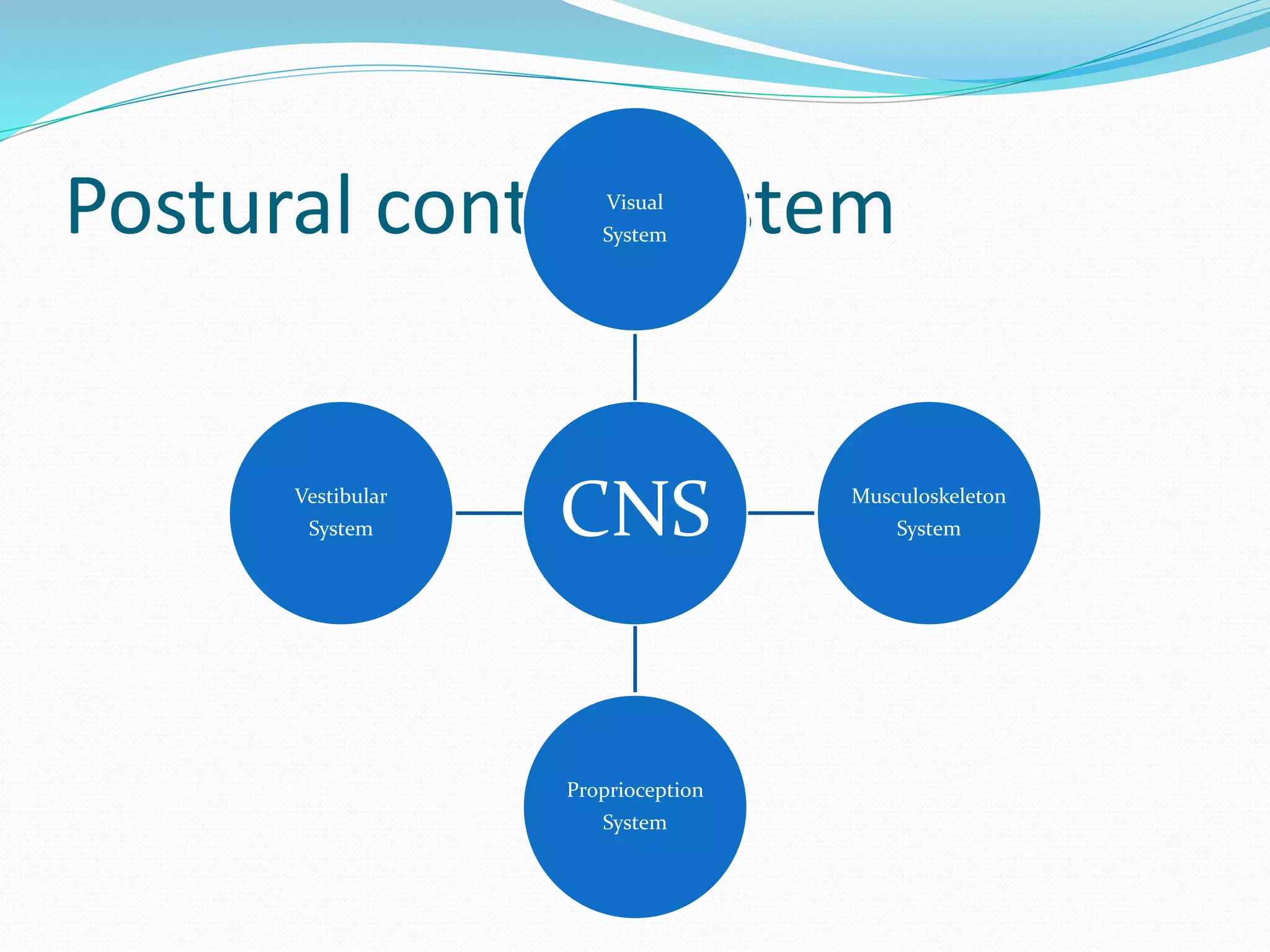 Posture Analysis In Biomechanics | PPTX