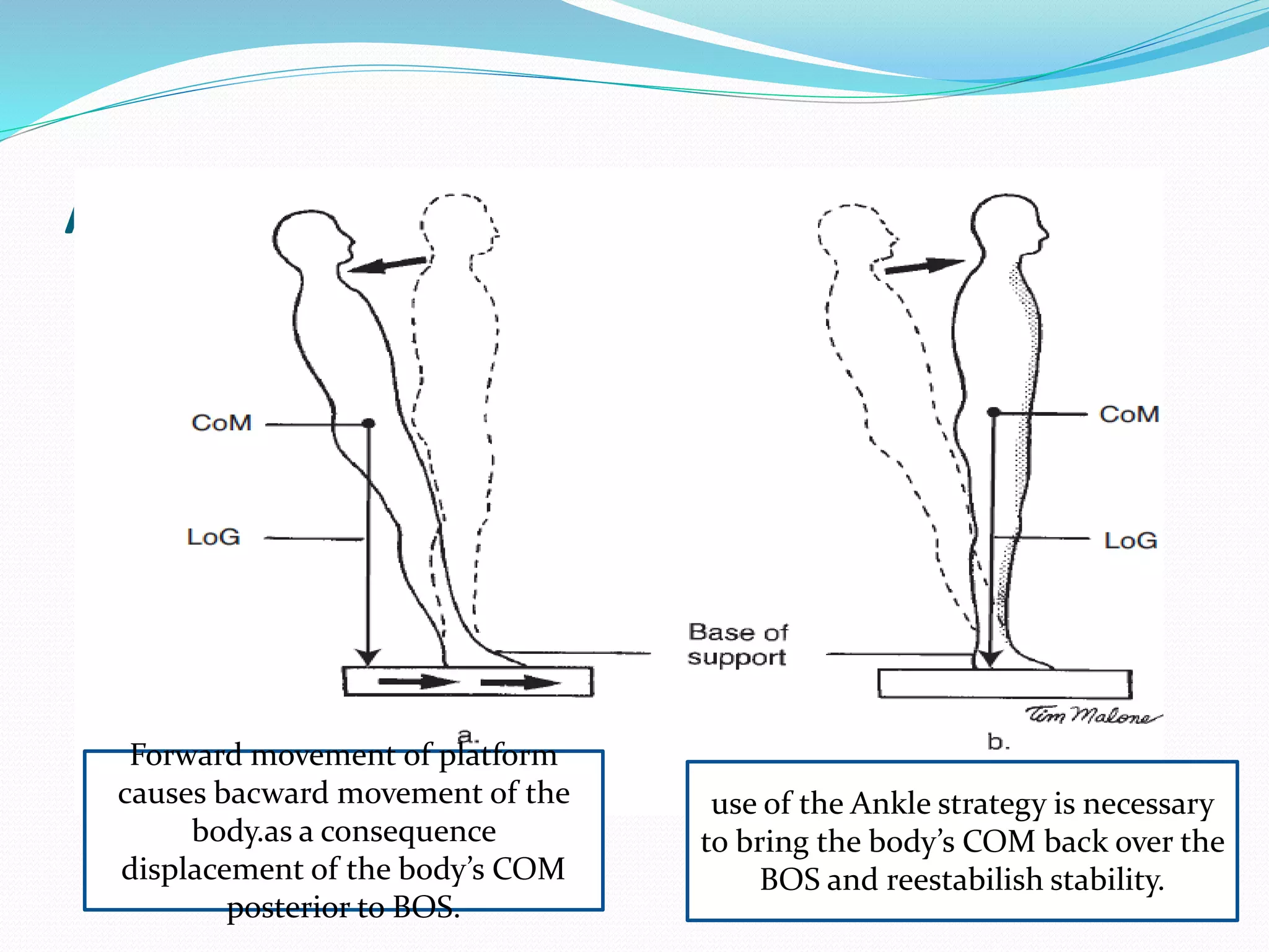 Posture Analysis In Biomechanics | PPTX