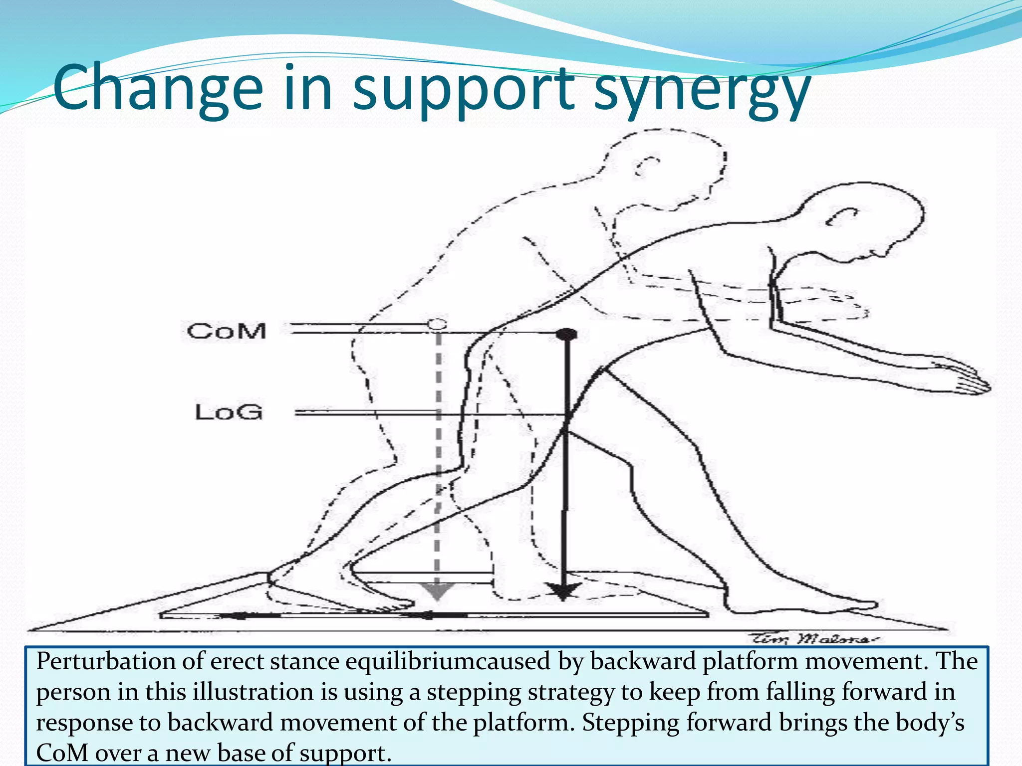 Posture Analysis In Biomechanics | PPTX