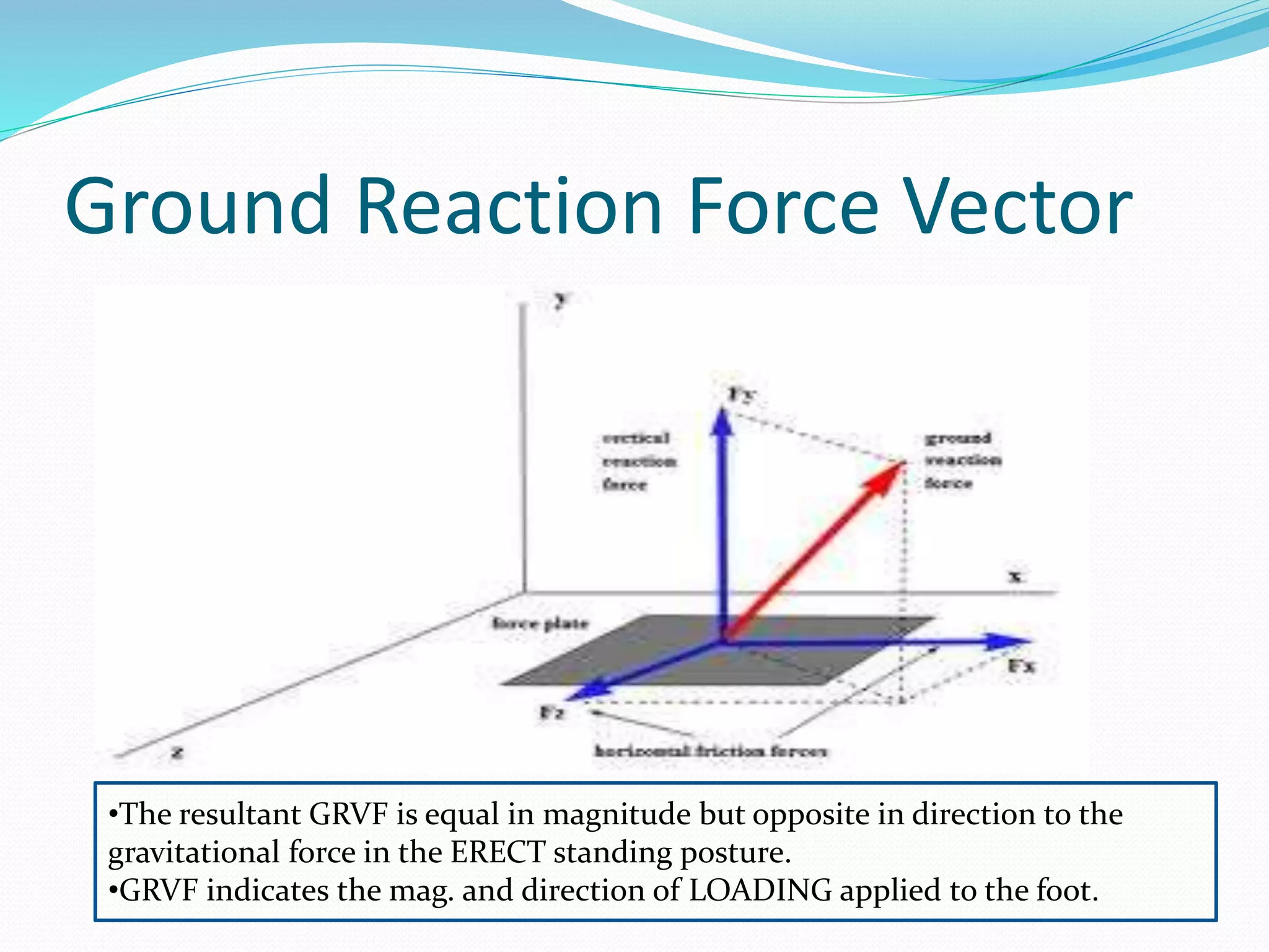 Posture Analysis In Biomechanics | PPTX