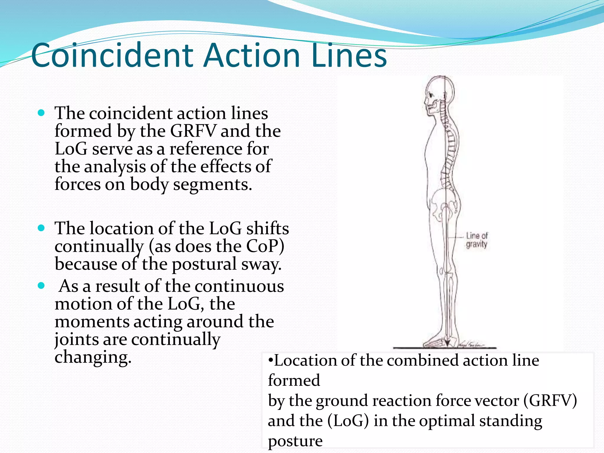 Posture Analysis In Biomechanics | PPTX