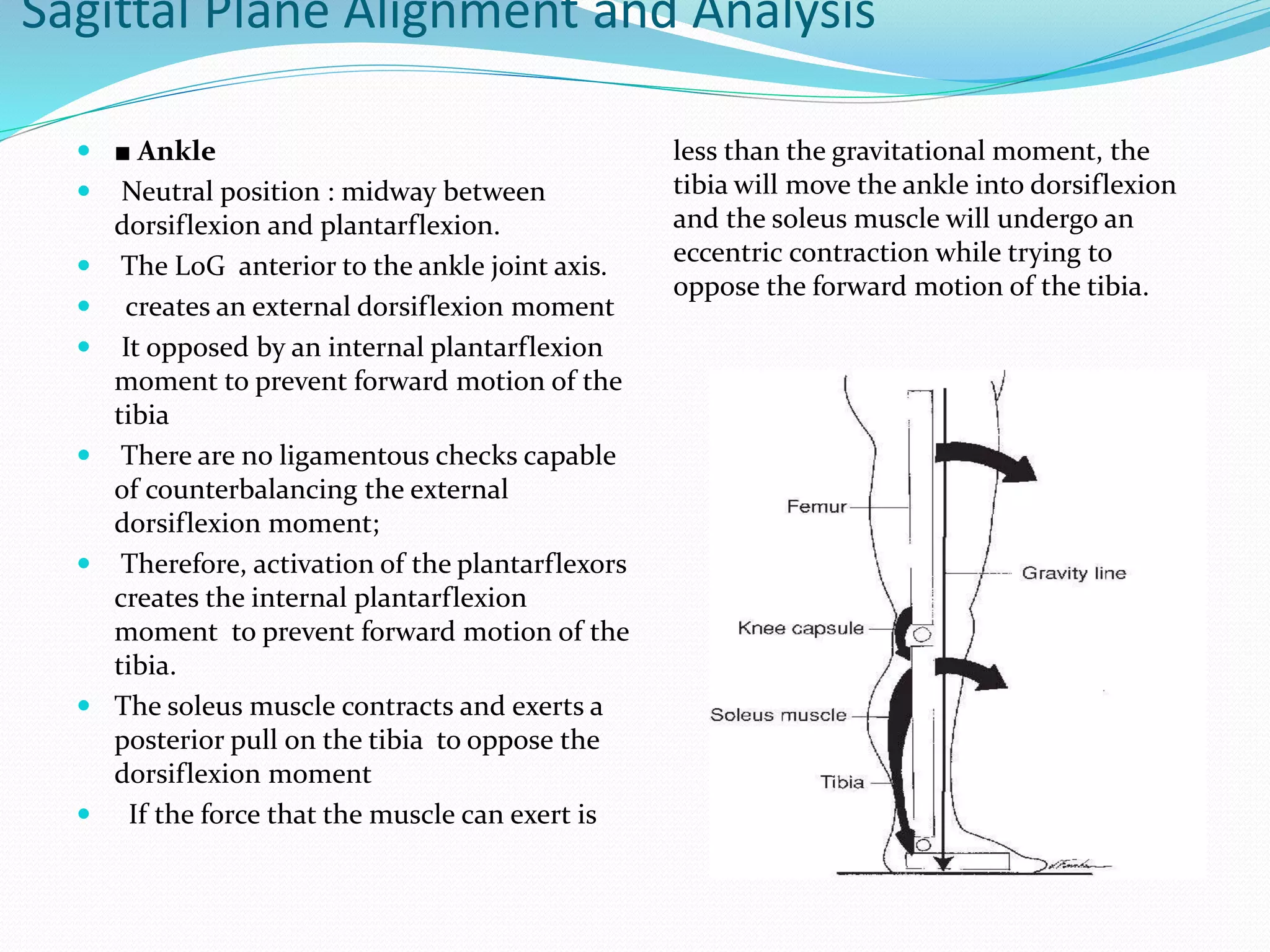 Posture Analysis In Biomechanics | PPTX