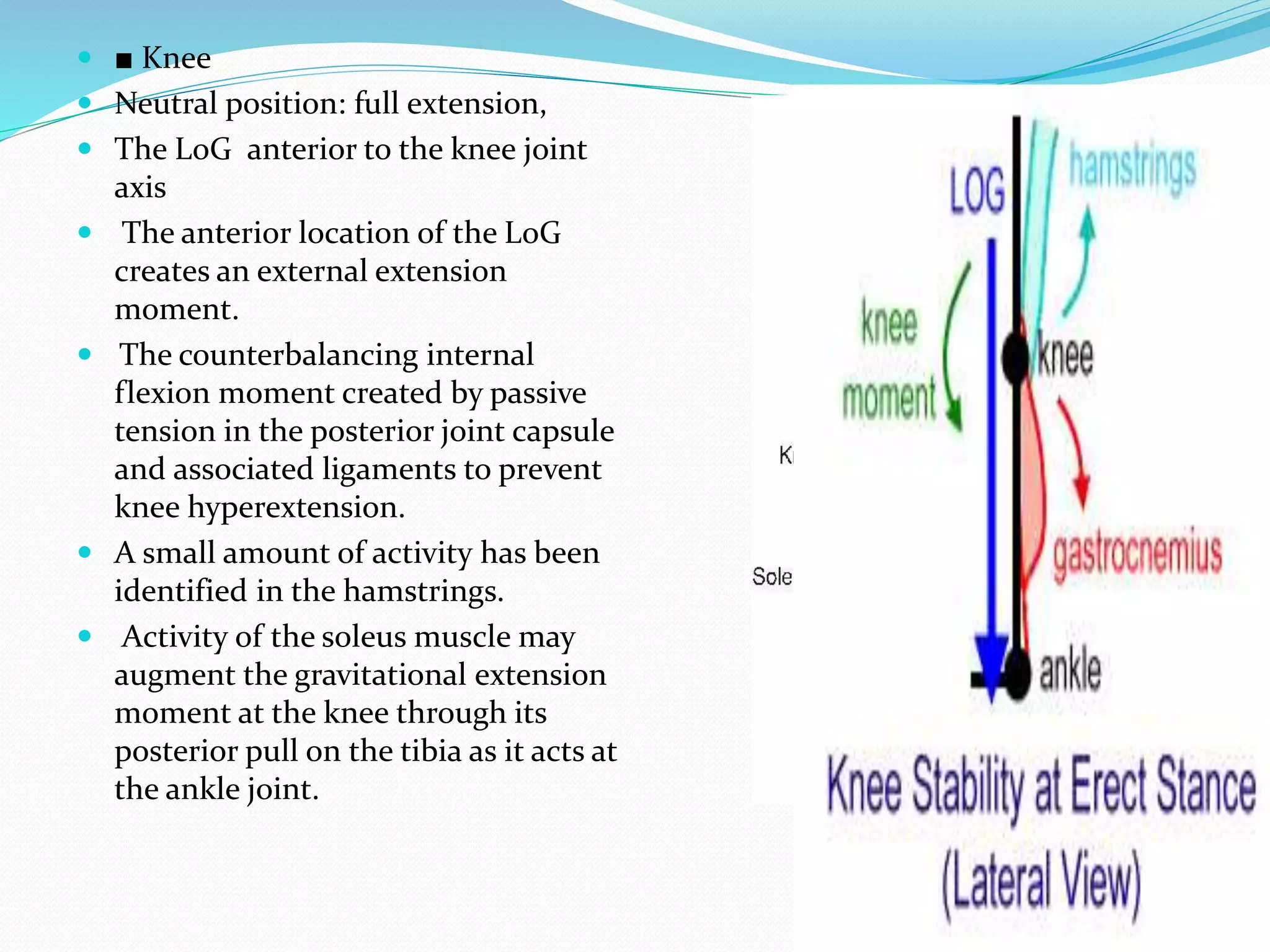 Posture Analysis In Biomechanics | PPTX