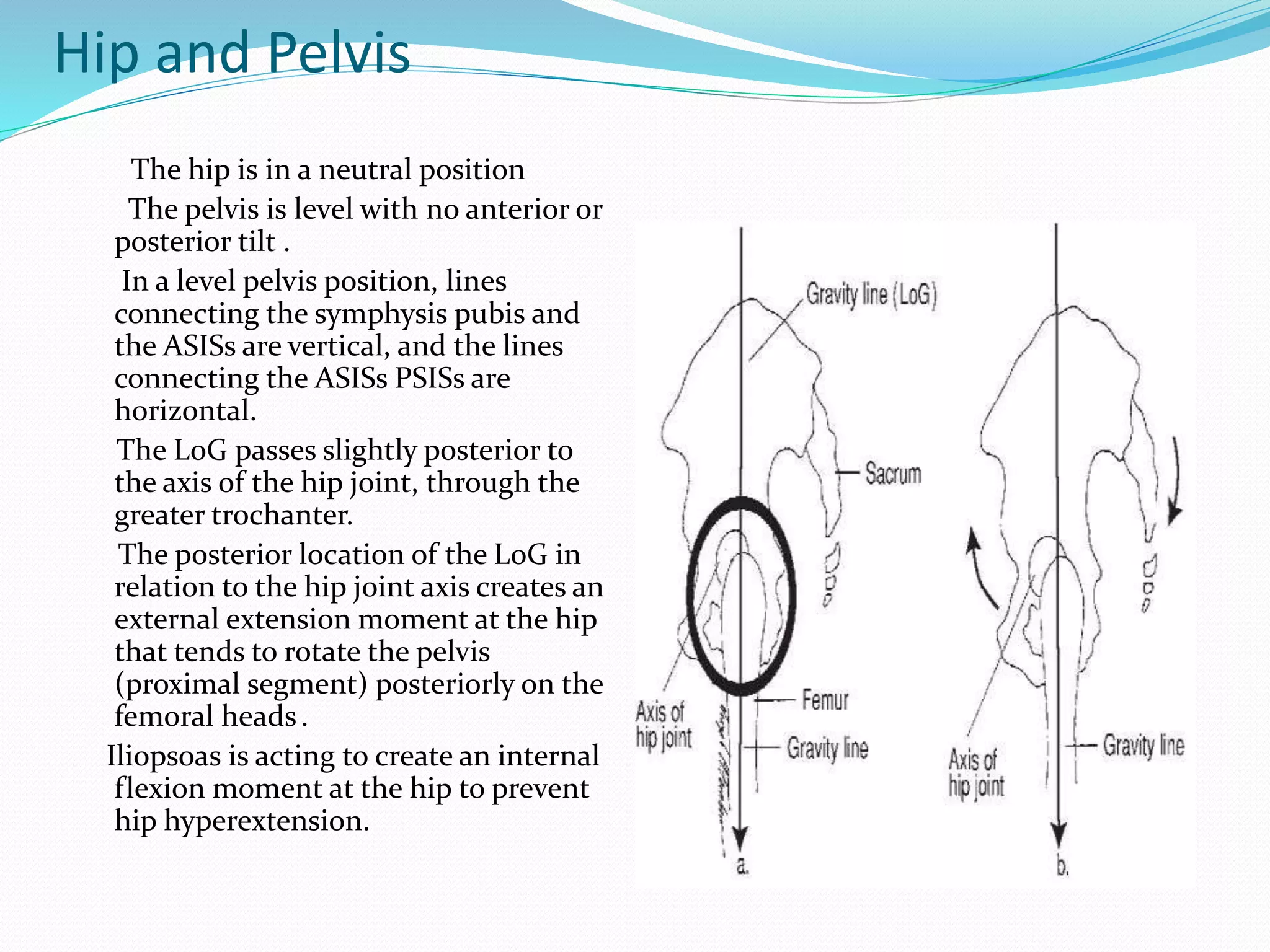 Posture Analysis In Biomechanics | PPTX