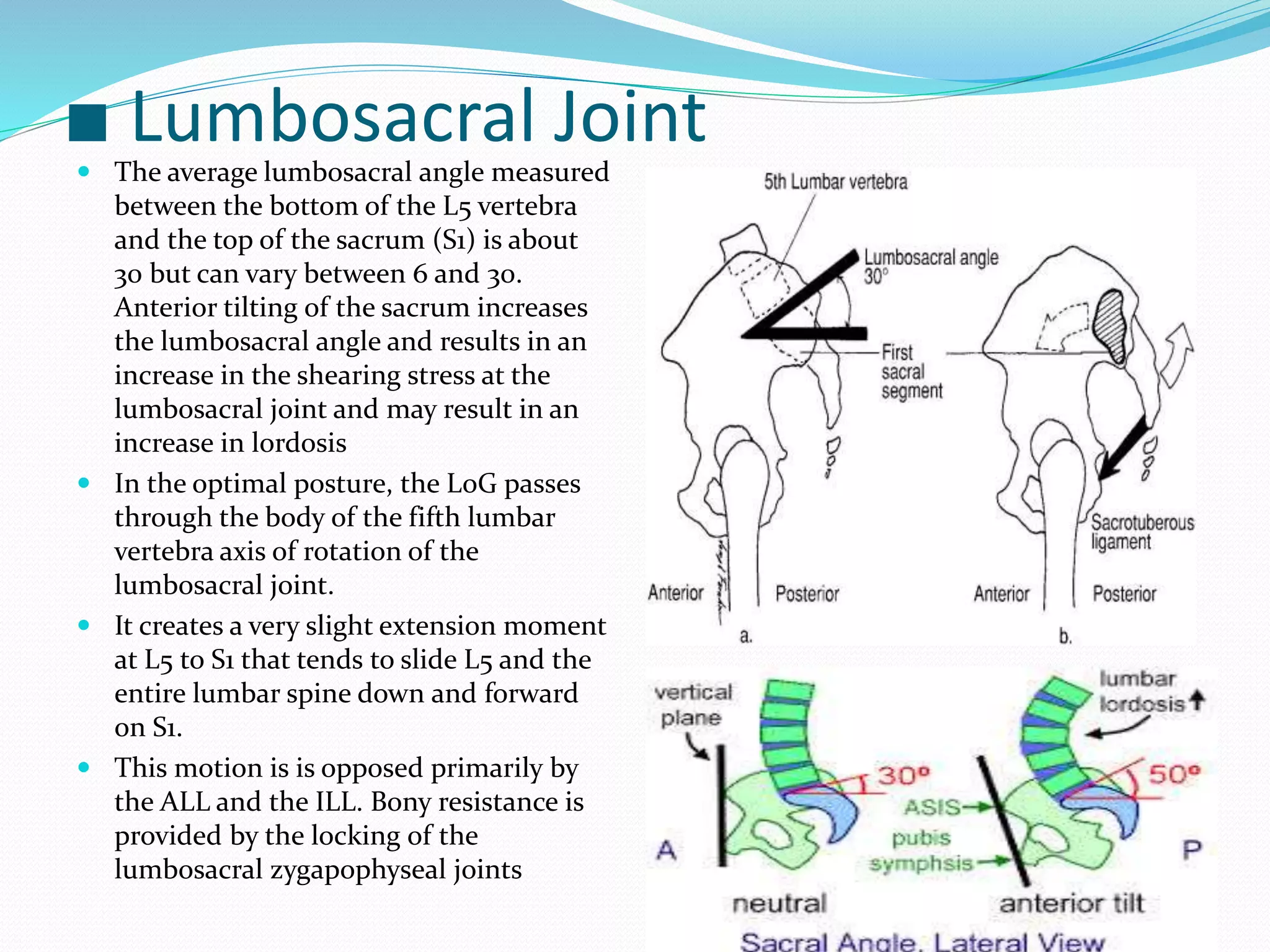 Posture Analysis In Biomechanics | PPTX