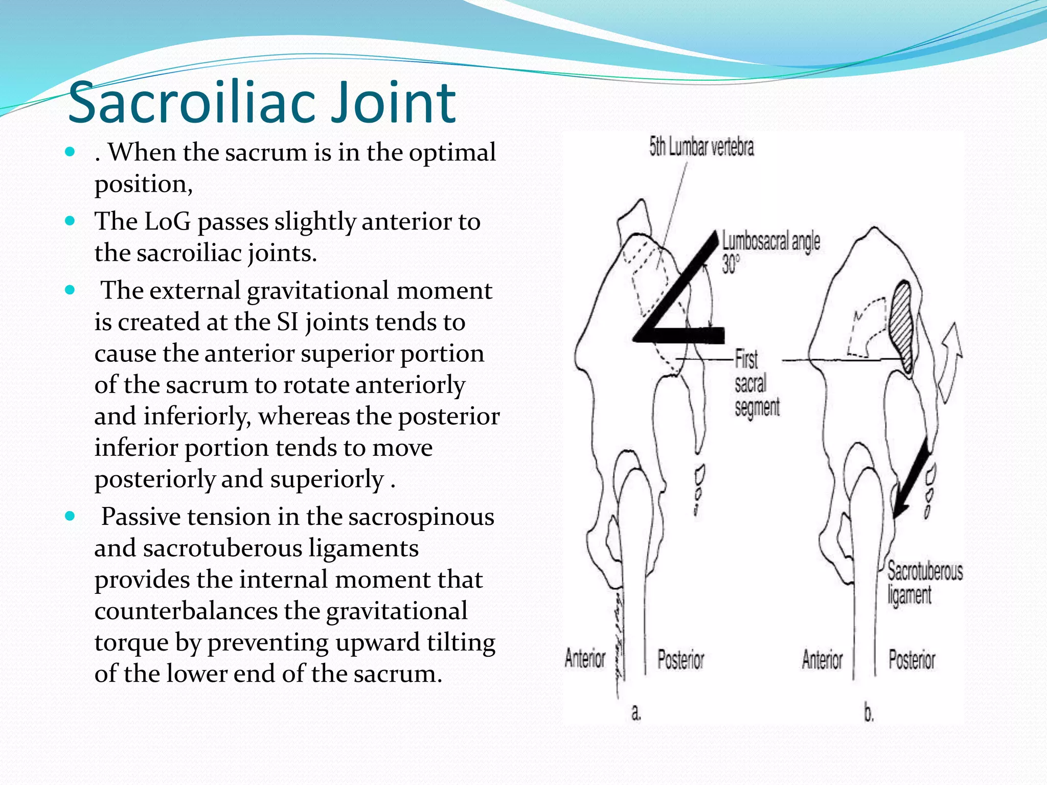 Posture Analysis In Biomechanics | PPTX