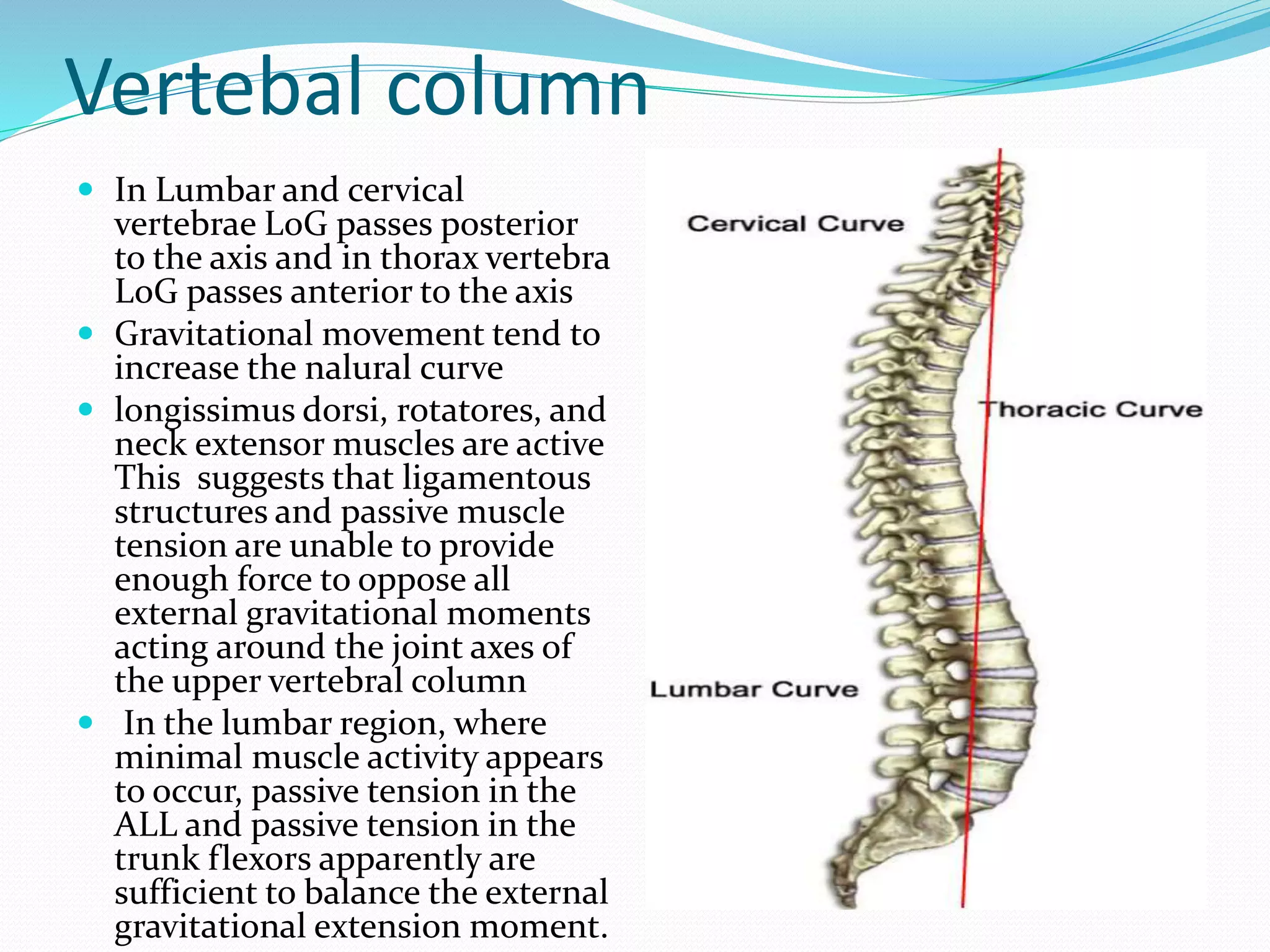 Posture Analysis In Biomechanics | PPTX