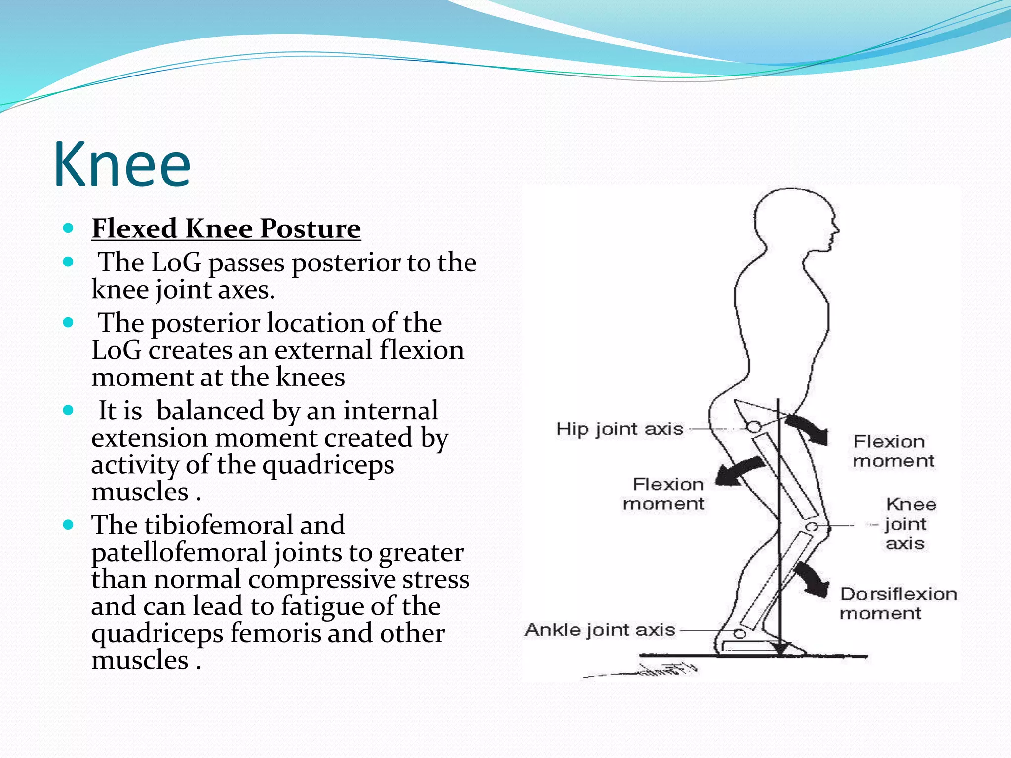 Posture Analysis In Biomechanics | PPTX
