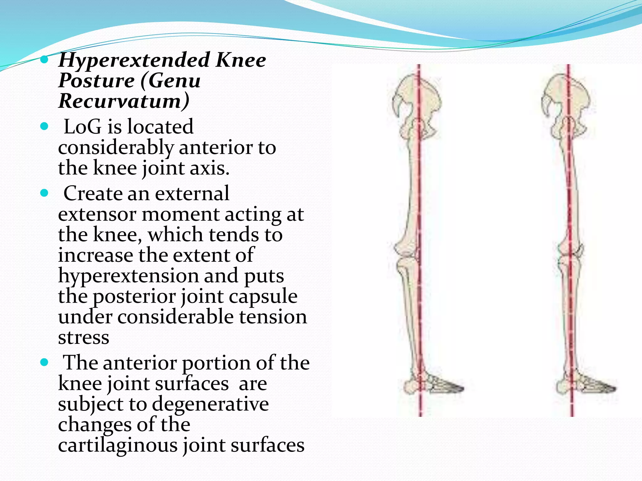 Posture Analysis In Biomechanics | PPTX