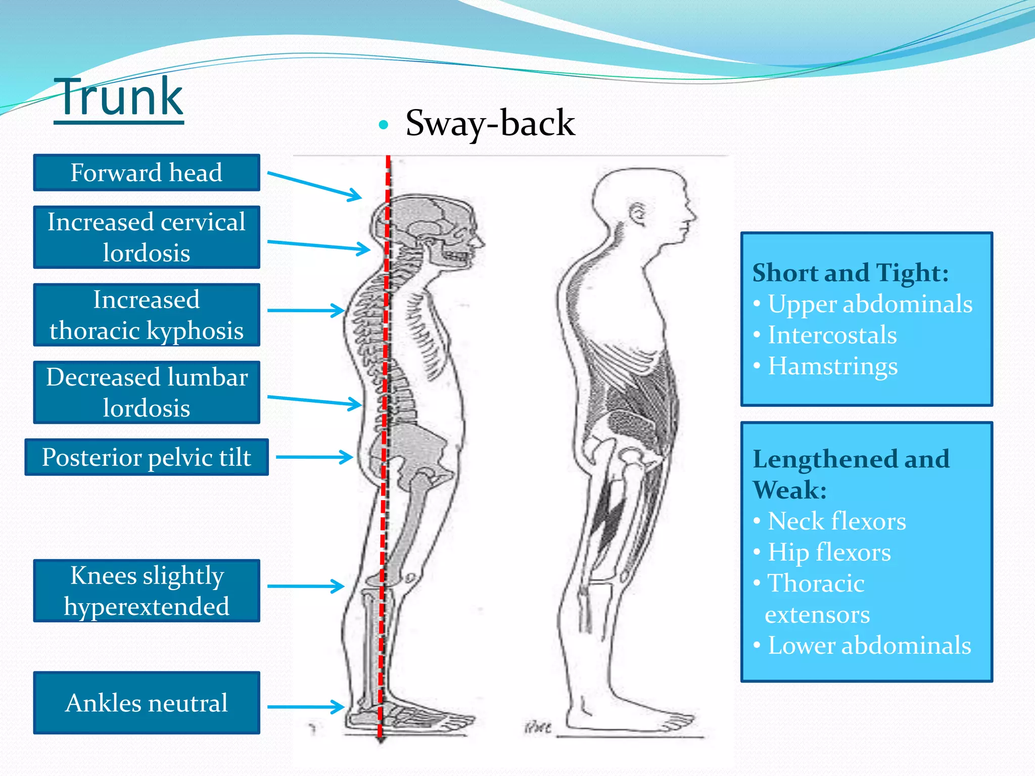 Posture Analysis In Biomechanics | PPTX
