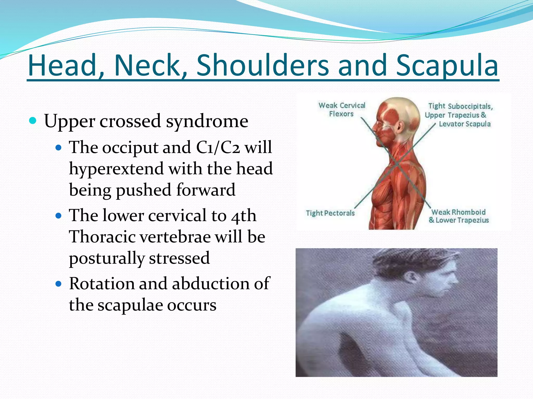 Posture Analysis In Biomechanics | PPTX