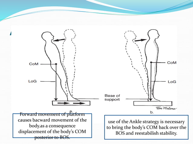 Posture Analysis In Biomechanics | PPTX