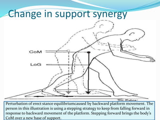 Posture Analysis In Biomechanics | PPTX