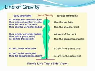 Posture Analysis In Biomechanics | PPTX