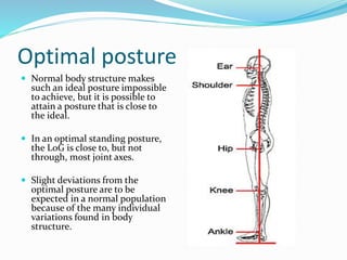 Posture Analysis In Biomechanics | PPTX