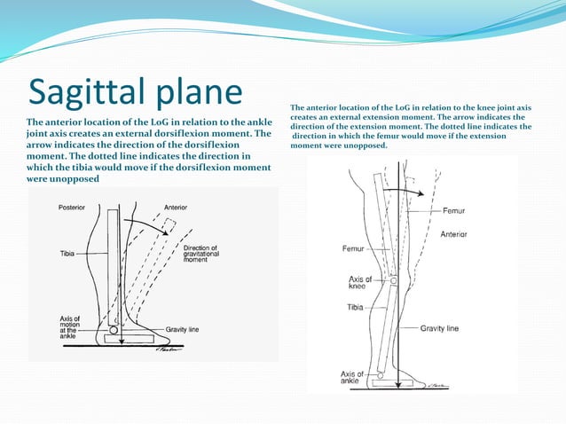 Posture Analysis In Biomechanics | PPTX