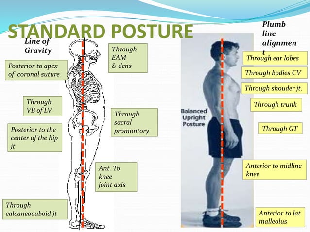 Posture Analysis In Biomechanics | PPTX