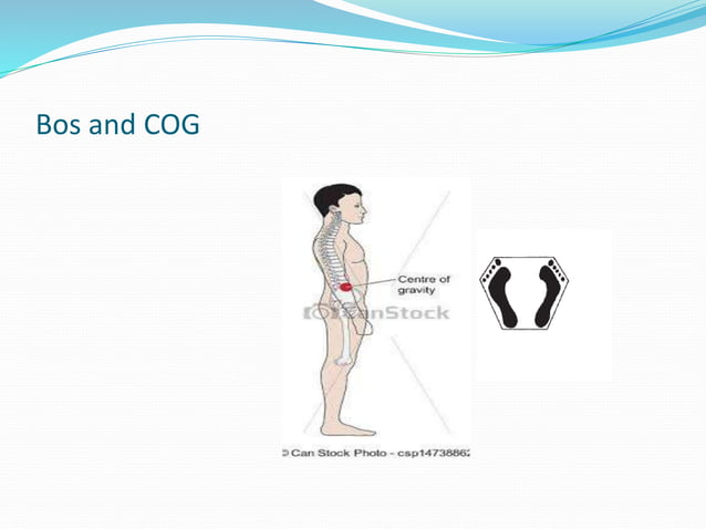 Posture Analysis In Biomechanics | PPTX