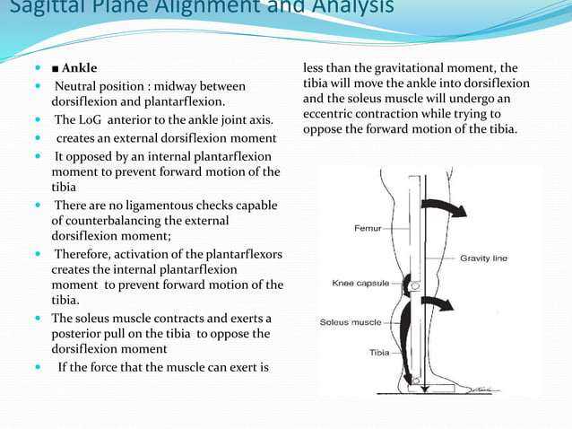 Posture Analysis In Biomechanics | PPTX