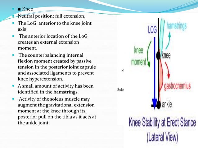Posture Analysis In Biomechanics | PPTX