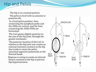 Posture Analysis In Biomechanics | PPTX