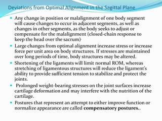 Posture Analysis In Biomechanics | PPTX