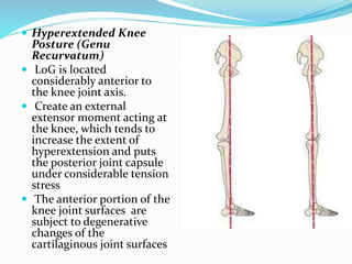 Posture Analysis In Biomechanics | PPTX