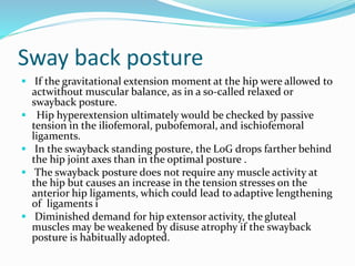 Posture Analysis In Biomechanics | PPTX