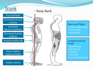 Posture Analysis In Biomechanics | PPTX