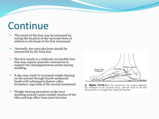 Posture Analysis In Biomechanics | PPTX