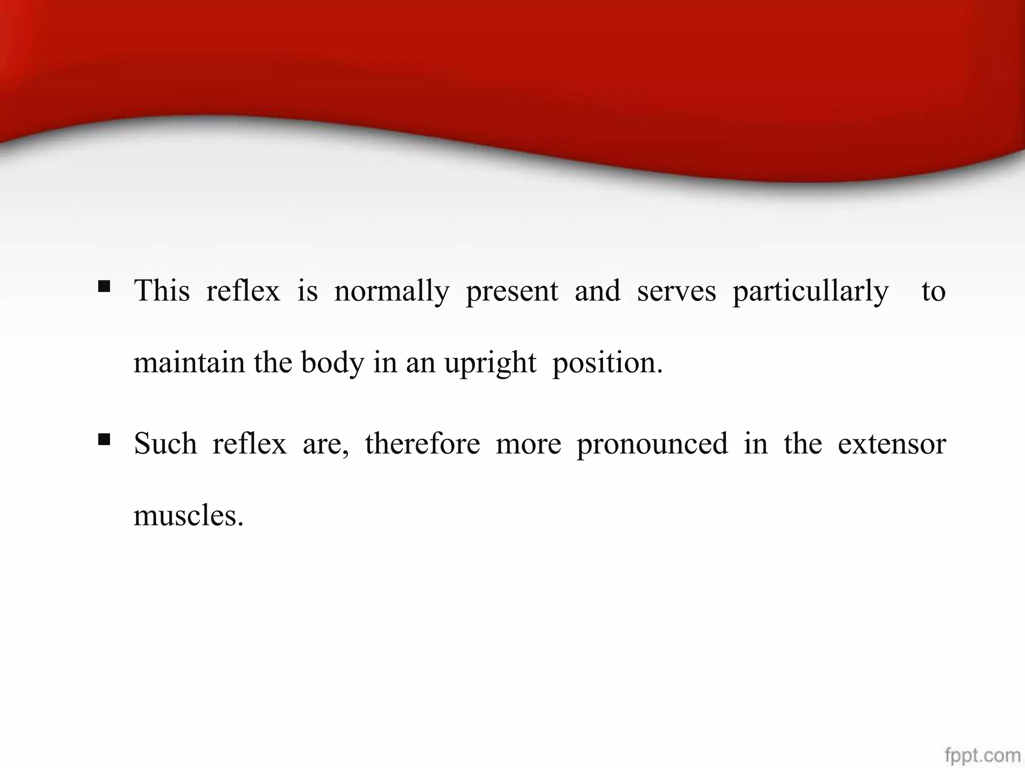 Posture and equilibrium | PPTX