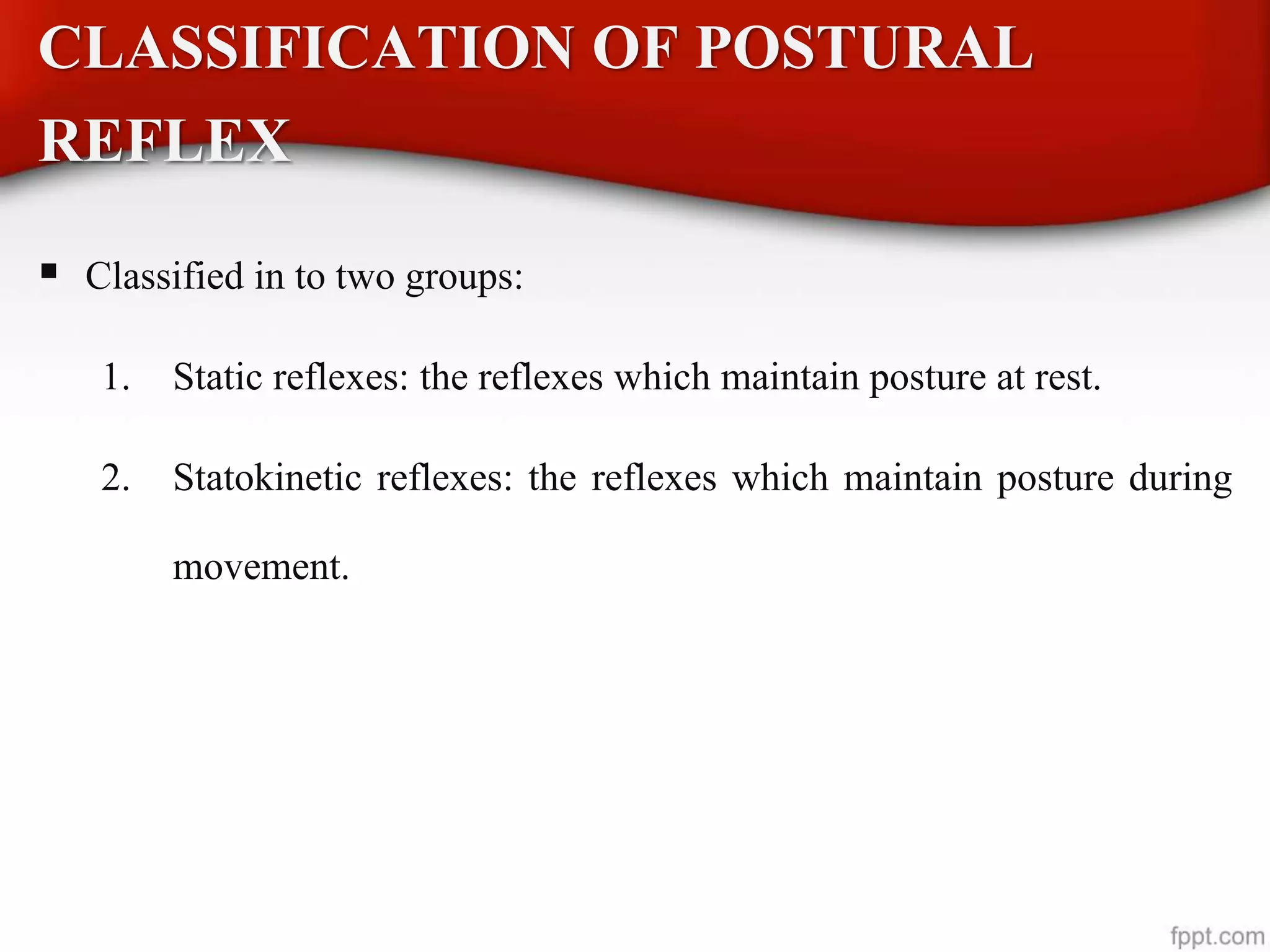 Posture and equilibrium | PPTX