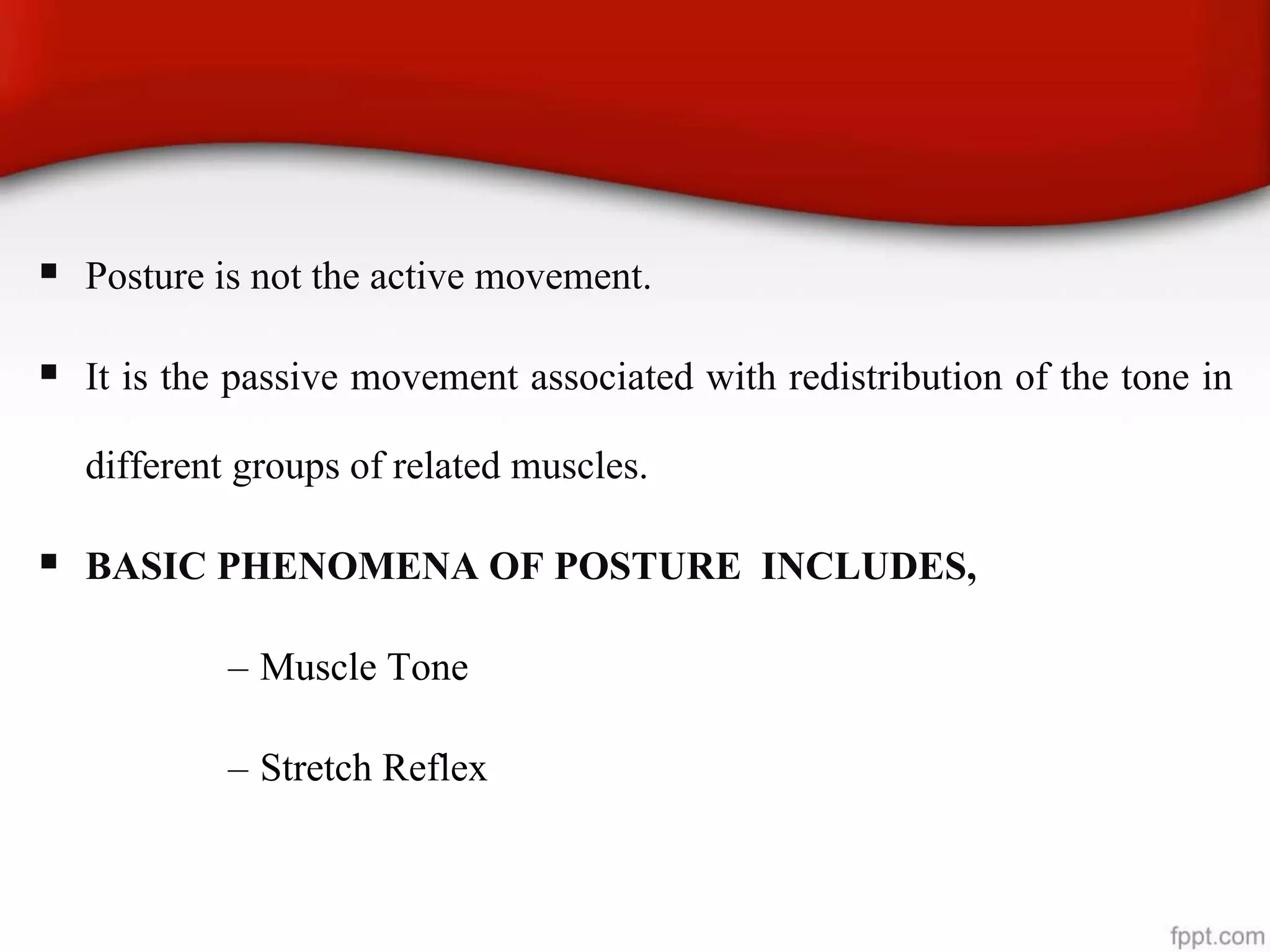 Posture and equilibrium | PPTX