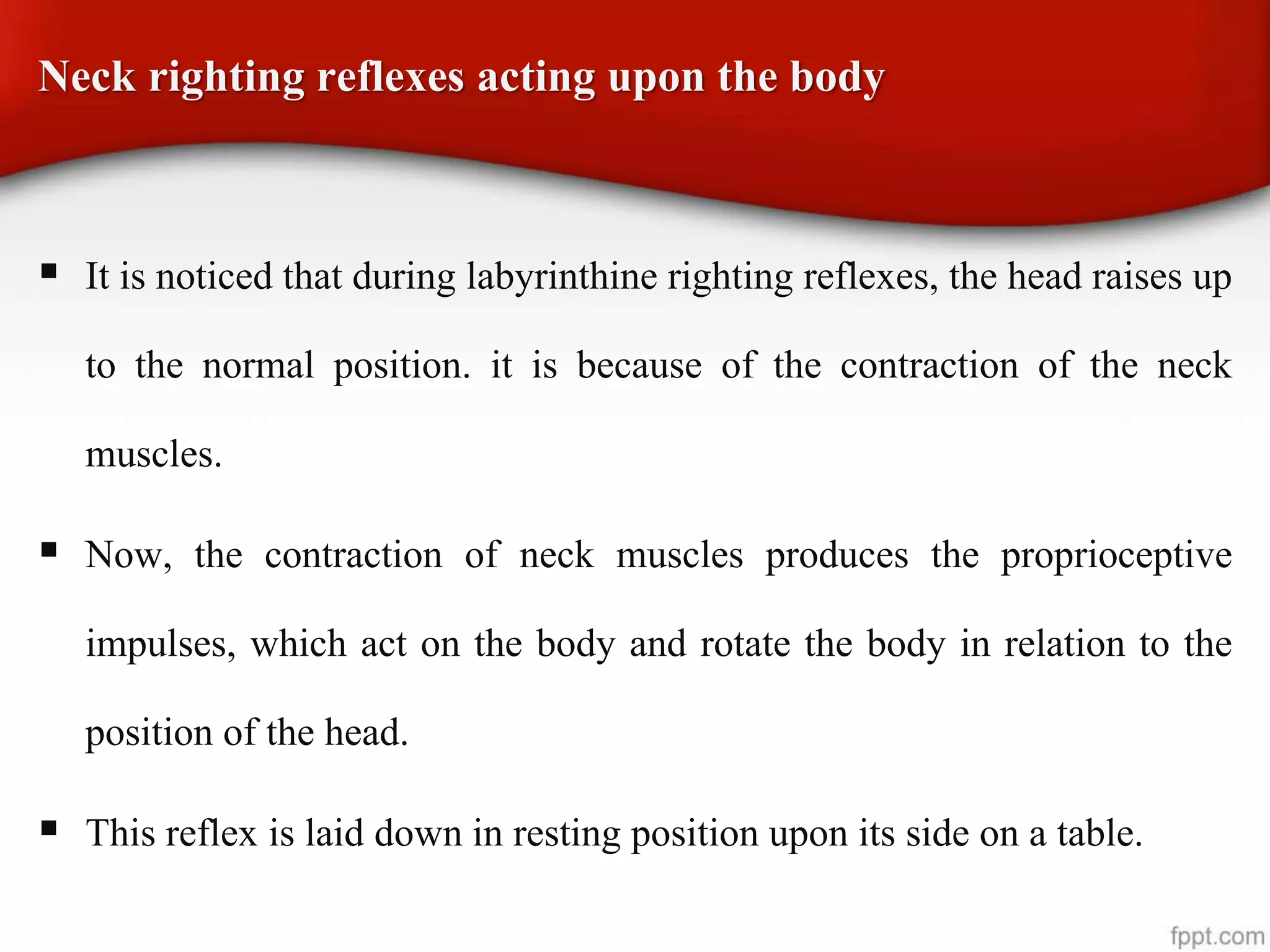 Posture and equilibrium | PPTX