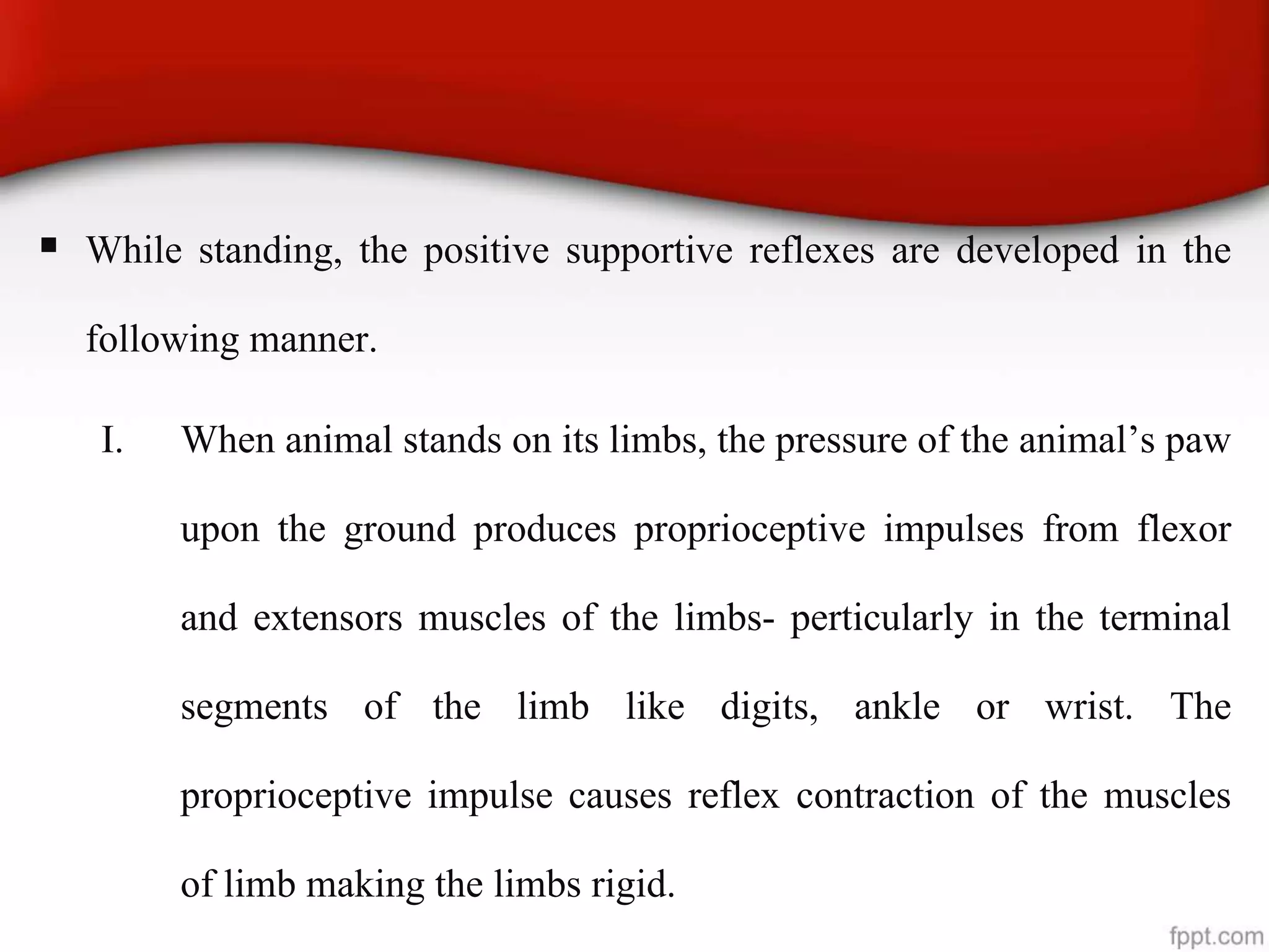 Posture and equilibrium | PPTX