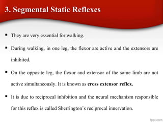Posture and equilibrium | PPTX
