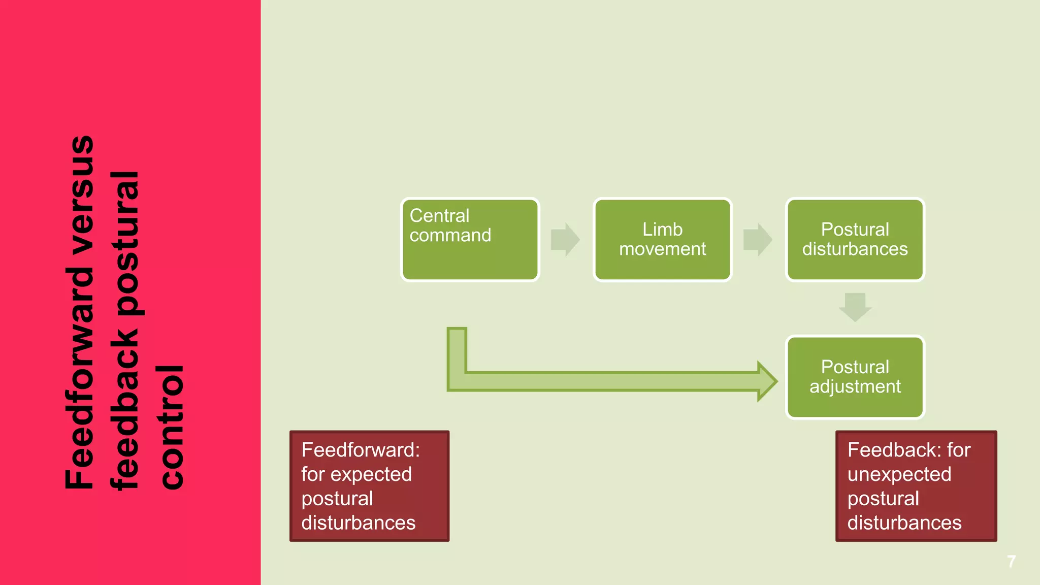 Neurophysiology of Posture and movement | PPTX