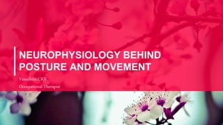Neurophysiology of Posture and movement | PPTX