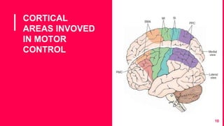Neurophysiology of Posture and movement | PPTX