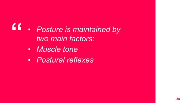 Neurophysiology of Posture and movement | PPTX | Physical Therapy ...