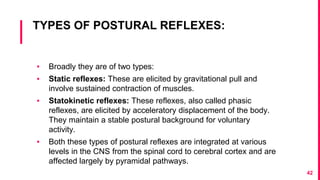 Neurophysiology of Posture and movement | PPTX
