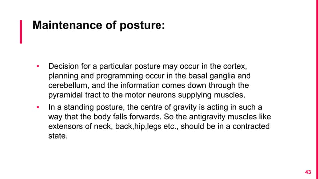 Neurophysiology of Posture and movement | PPTX | Physical Therapy | Wellness