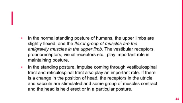 Neurophysiology of Posture and movement | PPTX | Physical Therapy | Wellness