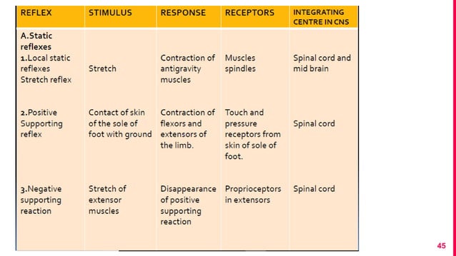 Neurophysiology of Posture and movement | PPTX | Physical Therapy ...