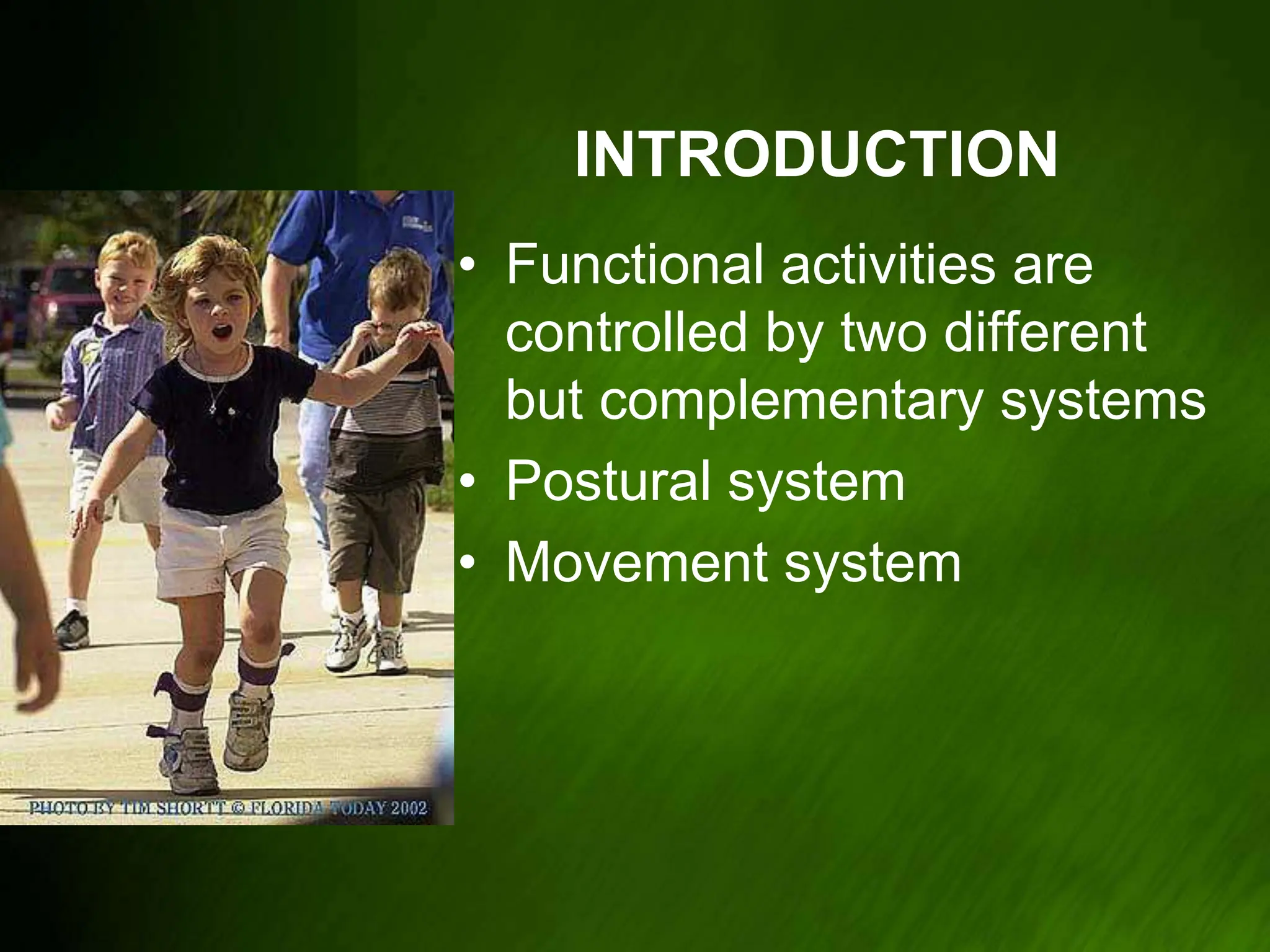 POSTURAL CONTROL AND MOVEMENT SYSTEMS.pptx
