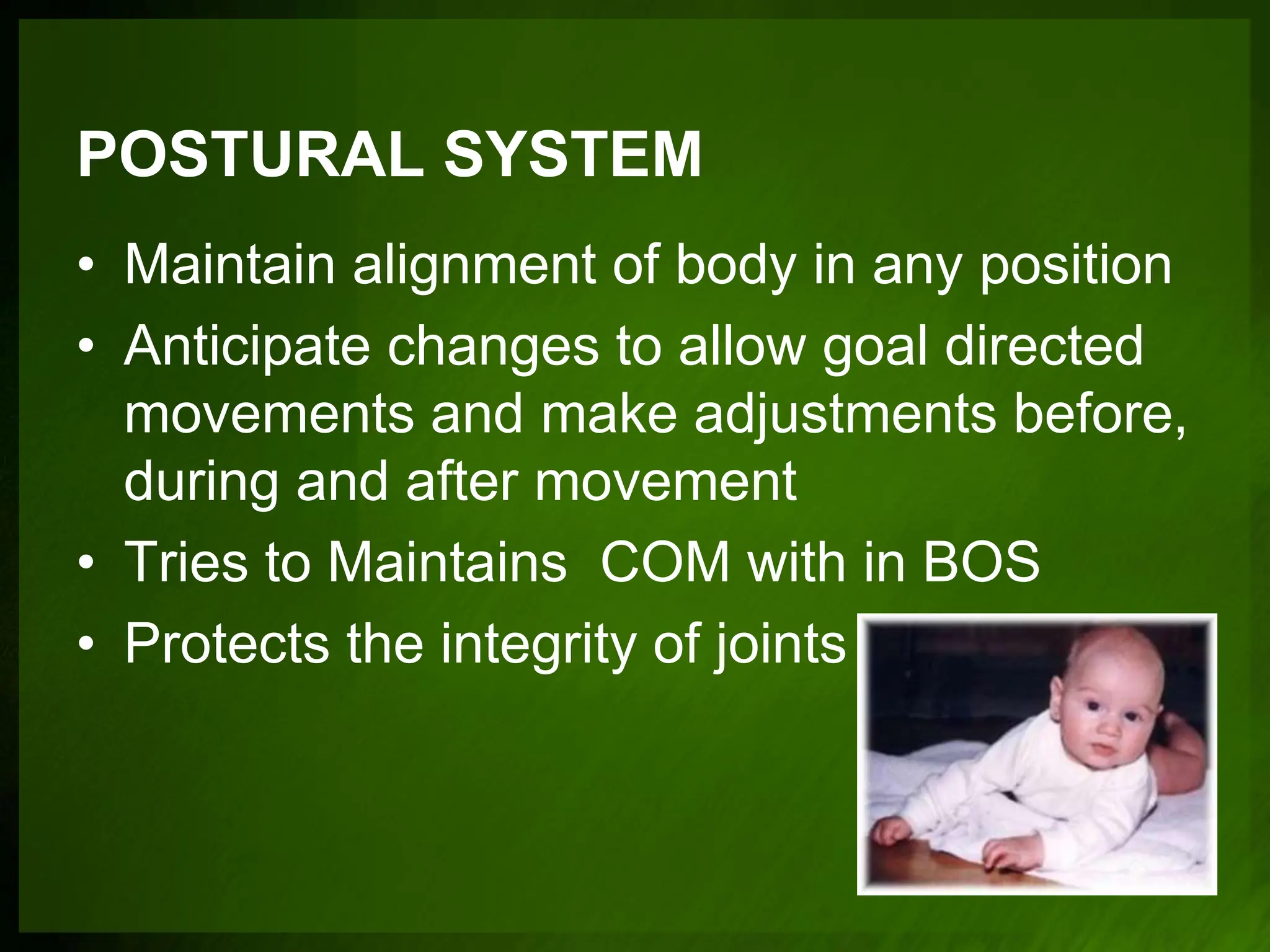 POSTURAL CONTROL AND MOVEMENT SYSTEMS.pptx