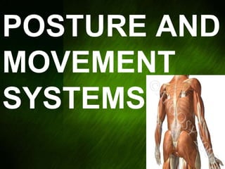 POSTURAL CONTROL AND MOVEMENT SYSTEMS.pptx